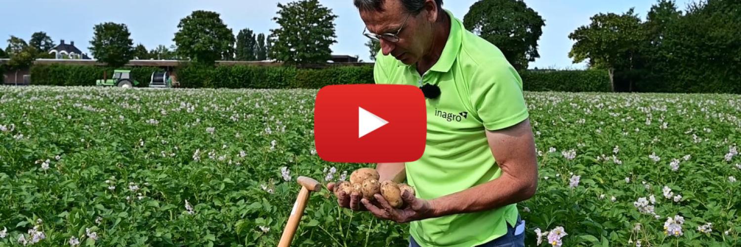 Bio@Inagro deel 4: halfweg het seizoen | ccbt